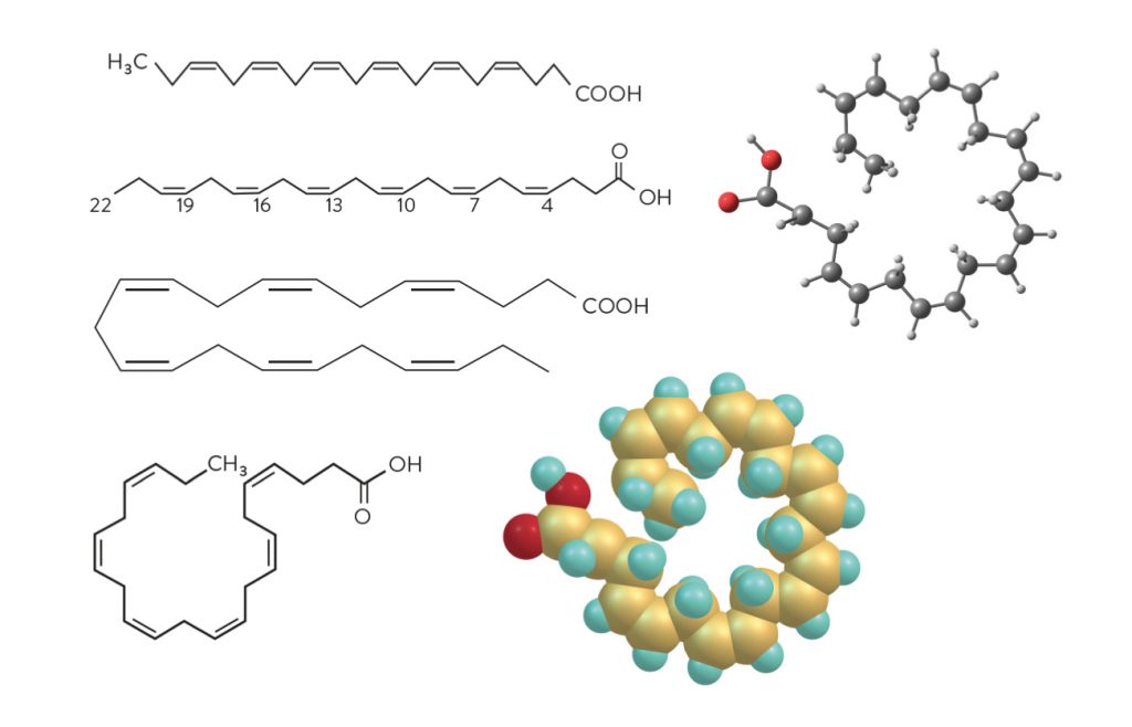 Applications - Brudylab - PÚBLICA